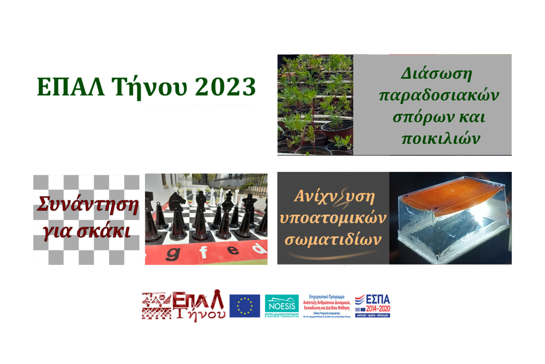 Δράσεις ΜΝΑΕ/Νόησις ΕΠΑΛ Τήνου 2022-23
